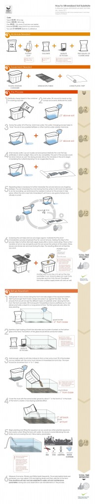 How to mineralize soil: Walstad method – Aqua Calc Infographics